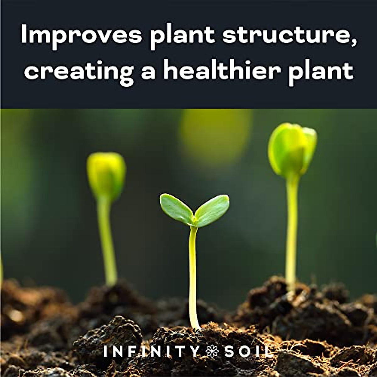 Infinity Soil Diatomaceous Earth - 2 lbs - Sustainable and Natural Soil Amendment - A Natural Source of Silica - Increases Soil Water and Nutrient Retention
