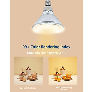 RAGFOZ Par38 Halogen Flood Light Bulb 90W 120V, 4Pcs Outdoor PAR38 90W Light Bulbs,Dimmable, E26 Medium Base, Warm White, High Output Reflector Flood Lights for Indoor and Outdoor