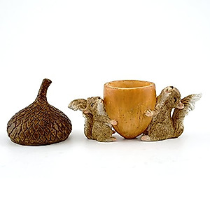 Top Collection Miniature Garden Squirrels Carrying Acorn Trinket Box with Secret Compartment Decor, Small