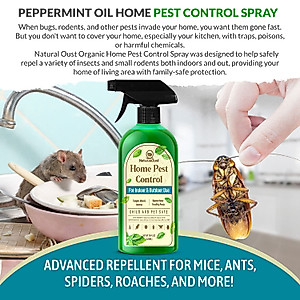 NATURAL OUST Peppermint Oil Mouse Repellent Spray - Roach Ant Spider Bug Insect Killer - Eco Friendly Pest Control to Repel Mice - Humane Repeller Alternative to Trap