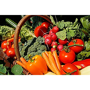 Set of 35 Premium Variety Herbs and Vegetables - Deluxe Garden Choices for Premium Gardening! (35 Liberty Garden Premium Vegetable)