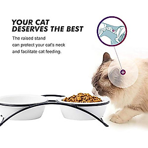 KitchenLeStar Cat Bowls,Cat Food Bowls Set,Ceramic Elevated Pet Dishes Bowls with Stand,12 oz Cats and Small Dogs Bowls,Dishwasher Safe.