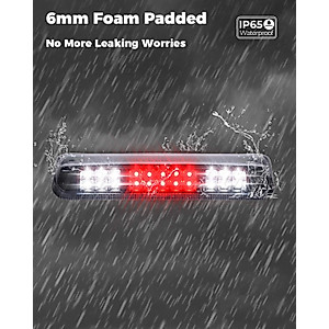 ISSYAUTO 3rd Brake Light Compatible with 2004-2008 F150 Third Brake Light LED High Mount Stop Light