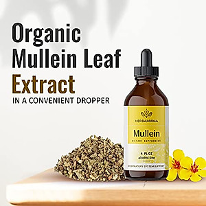 Mullein Leaf Tincture - Lung Cleanse - Vegan Mullein Drops - Lung Detox - Respiratory Health and Immune Support Drops - Natural Supplement Liquid Extract 4 fl.oz.