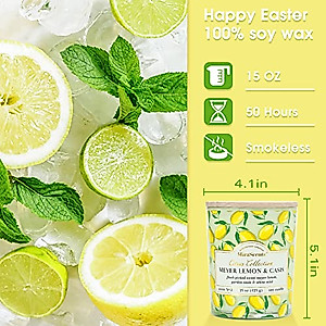 Lemon Fruit Scented Summer Candles Fragrance 15oz Large Jar Candle Gift Decal Jars for Home Gift for Men Women (Lemon)