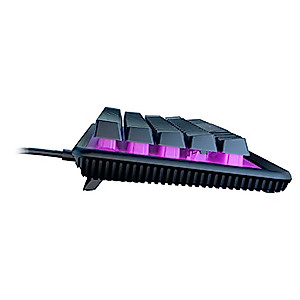ROCCAT Magma Mini - 60% RGB Gaming Keyboard with 5 Programmable Lighting Zones, Membrane Key switches, Programmable Function Layers, Anti-Ghosting, & Spill Resistance - Black