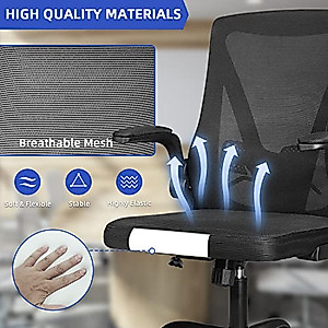MUZII Ergonomic Office Chair, Computer Desk Chair Swivel Task Chair with Flip-up Arms and Adjustable Lumbar Support, Black