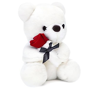 9.8'' Teddy Bear with Rose, Soft Plush Bear Doll Stuffed Animal Toys Valentines Day Decor Gifts for Her/Girlfriend Lover Mom Kids (White)