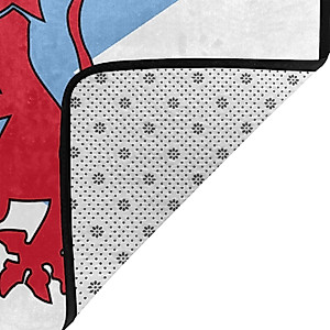 LIICHEES Flag of Boomerville, Dream SMP Area Rug 63x48in Washable Rugs for Living Room Bedroom Large Rug Indoor Decorative Carpet Yoga Mat