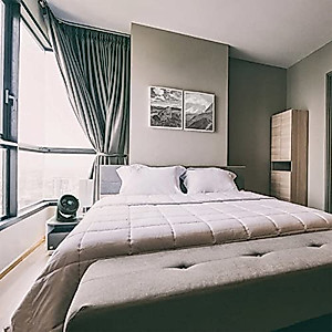 Vornado Cr1-0116-25 Compact Circulator, White