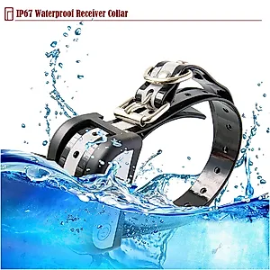 Wireless Dog Fence, 2023 Pet Boundary Containment System, Dogs Training Collar with Adjustable Boundary Container Range, Rechargeable, Safe Effective No Randomly Over Correction, for All Dogs,for3dogs