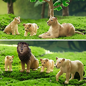 Toymany 6PCS Realistic Lion Figurines with Lion Cubs, 2-5" Jungle Animals Figures Family Set Includes Baby Lions, Educational Toy Cake Toppers Christmas Birthday Gift for Kids Toddlers
