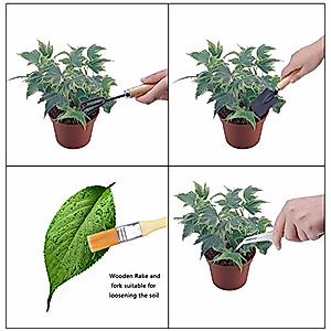 Hofumix Bonsai Tree Kit Bonzai Plant Tools Gardening Tools Set for Succulent Beginner Small Bonsai Care 10Pcs