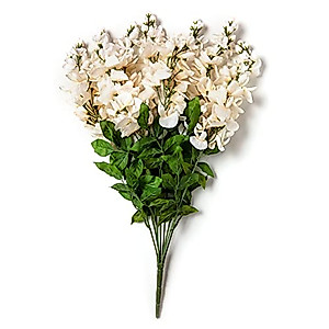 Ashland Michaels Cream Wisteria Bush