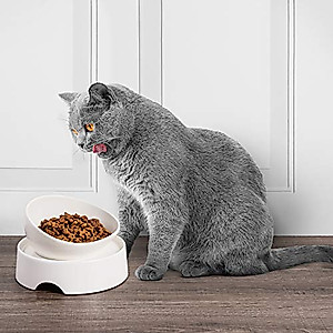 CatGuru Food Table for Cat Bowl, Non Slip Pet Feeding Station for Cat Food Bowls, Raised Stand for Food and Water Cat Bowls, Elevated Cat Feeder, Stress Free Pet Dish Stand (Marshnallow)
