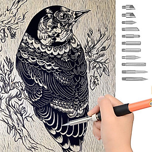 Wood Burning Kit, Wood Burning Tool Adjustable Temperature Woodburning Pyrography Pen Kit for Adults 46 Pcs