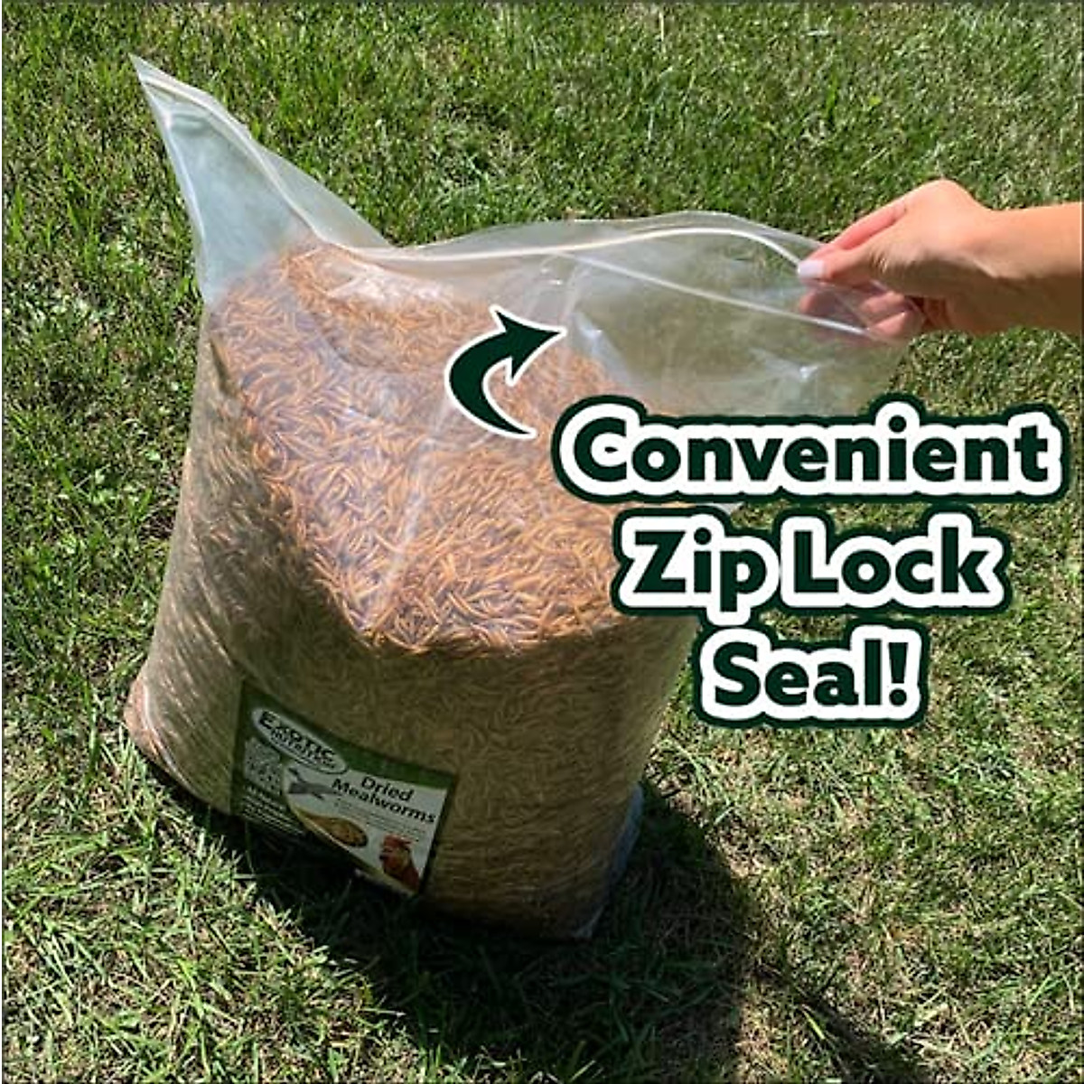 Dried Mealworms - 100% Natural, Non-GMO, High Protein, Bulk Insect Treat for Chicken, Laying Hen, Chick, Wild Bird, Bluebird, Duck, Goose, Turkey, Chickadee, Titmice, Wren, Reptile, Fish (10 lb.)