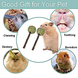 Kunze Land Rabbit Toys, 12 Pcs Timothy Hay Balls Rabbit Chew Toys, Guinea Pig Toys for Grinding Teeth Promote Gastrointestinal Health, Natural Wood Apple Sticks Hamster Hideout