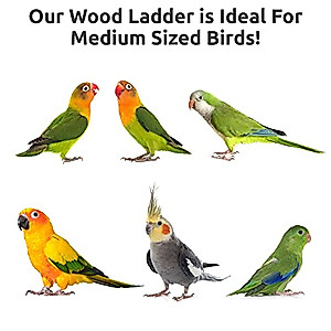 SIMENA Bird Cage Ladder, Parrot Bridge Made of Natural Wood and Rope, Interactive Bird Toy for Small and Medium Sized Birds and Parrots Like Parakeets, Cockatiels, Amazon Parrots, Conures and etc.