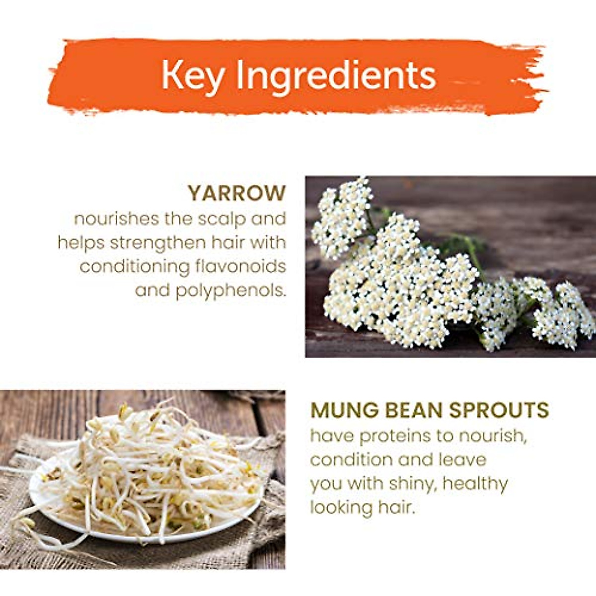 Himalaya Damage Repair Protein Conditioner, to Deep Condition and Repair Hair, 6.76 Fl Oz (200ml)