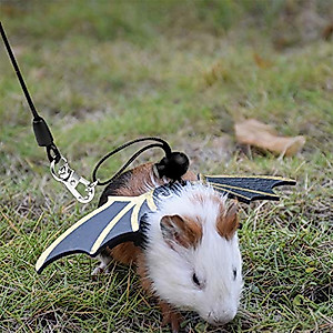 Bearded Dragon Leash and Harness Adjustable Leather Wings Costume Clothes from Baby to Juvenile Lizard Iguana Gecko Chameleon Hamster Ferret Reptile Walking Carrier Accessoreis S M L 3 Pack (Sky Blue)