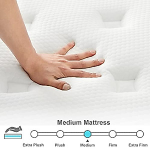 IYEE NATURE Twin Mattress,10 Inch Twin Size Hybrid Memory Foam and Individual Pocket Spring,Twin Bed Mattress in a Box