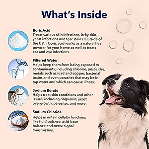 Vets Preferred Eye Cleaner for Dogs - Dog Eye Wash Drops for Infection & Tear Stain Remover - Improves Allergy Symptoms, Infections & Runny Eyes - Dog Eye Drops Rinse for Every Dog - 4 Oz