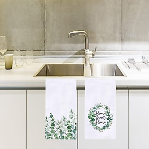 Watercolor Eucalyptus Leaves Home Sweet Home Kitchen Dish Towel 18 x 28 Inch, Summer Greenery Tea Towels Dish Cloth for Cooking Baking Set of 2