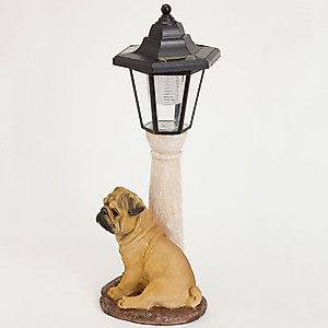 Bits and Pieces-Solar Light Fawn Pug-Solar Powered Garden Lantern - Resin Dog Sculpture with LED Light