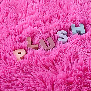 Noahas Fluffy Bedroom Rug Plush Fuzzy Rugs for Kids Room Living Room, Soft Shaggy Nursery Rug Furry Floor Carpet Modern Indoor Bedroom Decor Cute Boys Girls Room Rug, 4x5.3 Feet, Hot Pink