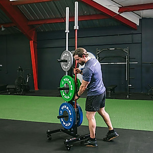 Titan Fitness Portable Weight Tree for Olympic Plate and Barbell Storage, Weight Plate Storage with 1,000 LB Capacity, Weight Tree Rack with Locking Wheels, Weight Plate Tree with Barbell Storage