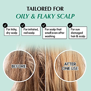 RATED GREEN REAL TAMANU Soothing Shampoo | Scalp Relief & Nourishing for Troubled, Itchy & Dry Scalp | Organic Cold Pressed Tamanu Oil Shampoo (13.52 Fl Oz)