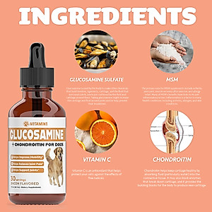 Glucosamine for Dogs | Supports Healthy Hips, Joints, & More | Glucosamine for Dogs Hip and Joint Supplement | Dog Glucosamine | Dog Joint Supplement | Glucosamine Chondroitin for Dogs | 1 fl oz