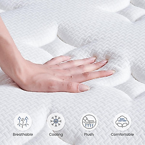 Dourxi Queen Size Mattresses, 14 Inch Queen Size Mattress in a Box with Gel Memory Foam, Individually Pocketed Springs for Pressure Relief and Back Pain Relief - Plush