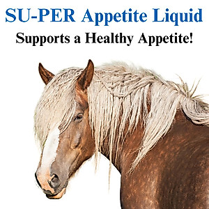 SU-PER Appetite Supplement for Horses - Equine Appetite Booster Liquid Feed Supplement - Vitamin Support for Healthy Appetite - 1 Quart, (2 Pack)