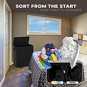 Bartnelli Double laundry hamper basket With 2 Removable bags | collapsible baskets for dirty clothes or baby clothing, Waterproof Material Outdoor-Safe foldable pop up bin, Easy Assembly