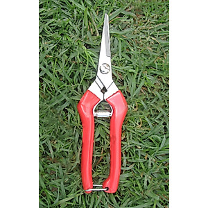 TABOR TOOLS K77A Straight Pruning Shears with Stainless Steel Blades, Florist Scissors, Multi-Tasking Garden Snips for Arranging Flowers, Trimming Plants, Harvesting Herbs, Fruits or Vegetables.
