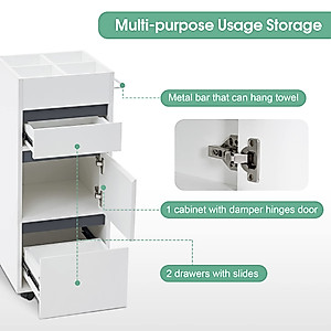 BarberPub Salon Trolley with Drawers Barber Cart Storage Cabinet Beauty Organizer Spa Equipment 2039 (White)