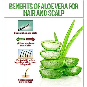 NITRUEE Hair Fragrance Mist