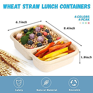 Oyeahoo 4 Pack Bento Lunch Box for Adults, 2 Compartment Meal Prep Containers Reusable, Divided Lunch Containers with Lids, Microwave & Dishwasher Safe Food Prep Containers for Lunch, Work and Travel