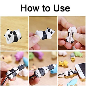 Phone Charger Cable Protector Animals - 12 USB Charger Cord Protector for iPhone, iPad, Android, Samsung, Animal Bite Charging Cable Savers