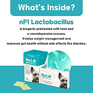 Mepet Gut Support for Dogs - Mouth Dissolving Strips, Gut and Digestive Health with nF1 Lactobacillus, Probiotic - Anti Diarrhea, Boost Immune System - Allergens and Additives Free - Beef, 30 Strips