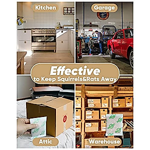 SEEKBIT Squirrel Repellent, Squirrel Deterrent Peppermint Oil to Repels Squirre Mouse Rodent, Natural Squirrel Deterrent Yard Garage, 10 Pack