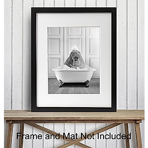 Coastal Bathroom Wall Art & Decor - Bathtub Wall Art - Sea Animal Beach Bathroom Decor - Bathroom Pictures - Funny Bathroom Decor - Bath Wall Decor - Restroom Sign - Cute Unique Guest Bathroom Poster