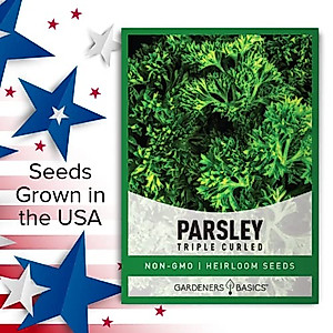 Curled Parsley Seeds for Planting Indoors and Outdoors Heirloom, Open-Pollinated, Non-GMO Curly Herb Variety- Great for Home Gardens and More by Gardeners Basics
