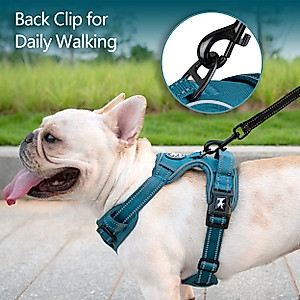 PoyPet No Pull Dog Harness, No Choke Reflective Dog Vest, Adjustable Pet Harnesses with Easy Control Padded Handle for Small Medium Large Dogs(Tumalo Teal,S)