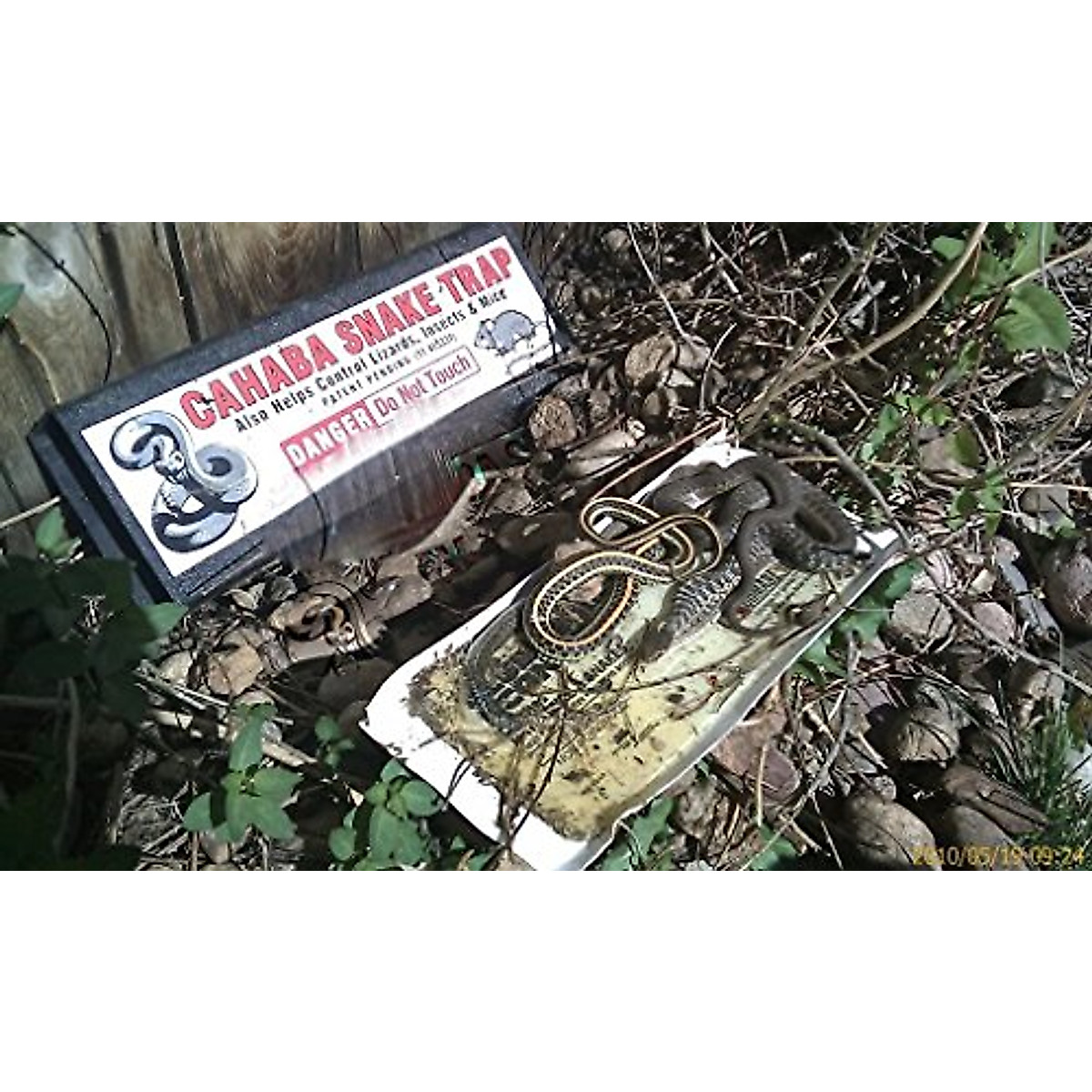 Cahaba Snake Trap (1 PK) Commercial Grade Large/Reusable 32"x10"x3" with (3) Large Catch Inserts Made in USA