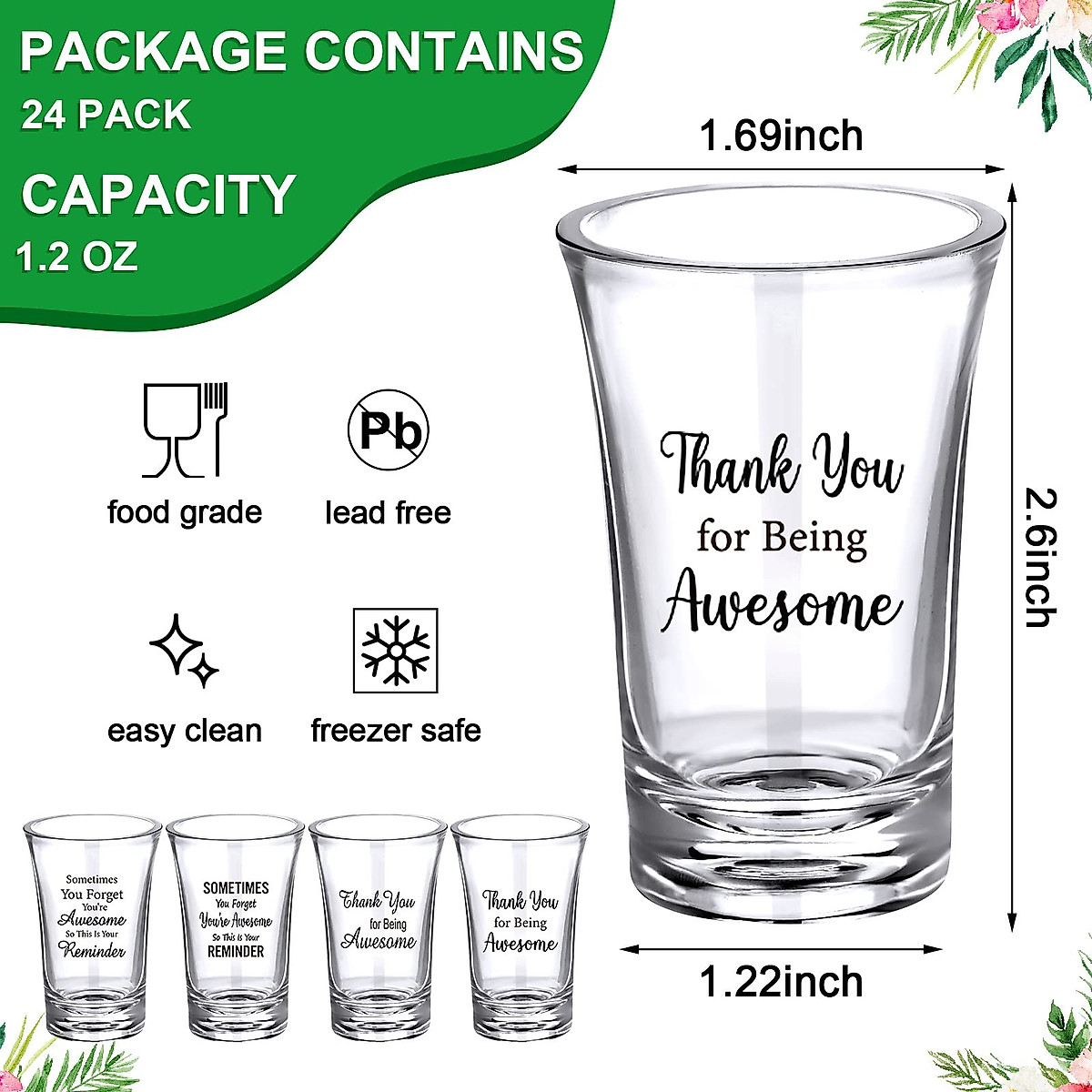 Karenhi 24 Pcs Thank You for Being Awesome Shot Glasses 1.2 Ounce Acrylic Shots Glass for Adults Thank You Gifts Inspirational Encouragement Christmas Gift for Teacher Employee Women Friends