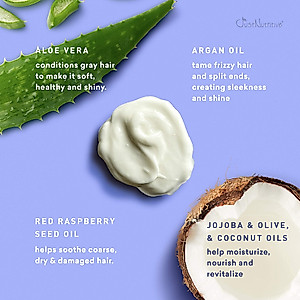 Just Nutritive Gray Hair Shampoo and Conditioner Set for Gray Hair Kit, Natural Shampoo and Conditioner for Gray Hair Bundle, 16 oz Each Product