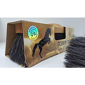 GAMLIEL RETAIL© Broom Head, Made Pure Horse Hair Floor Brush Sweeper 11.80" x 3.15" x 3.15" inch, Natural Wooden Base Superior Horsehair Broom Like an Old time